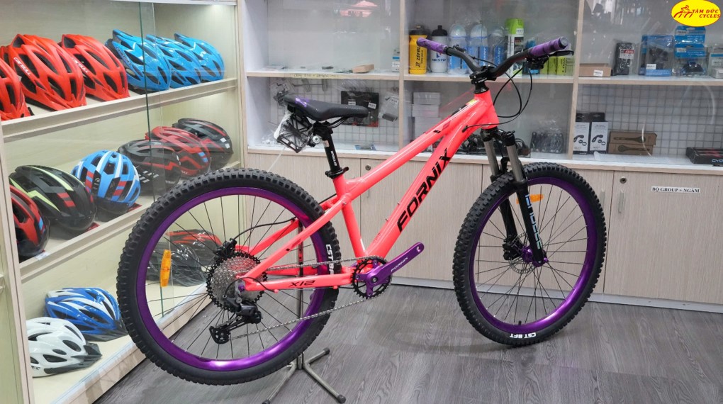 XE ĐẠP ĐỊA HÌNH FORNIX X12